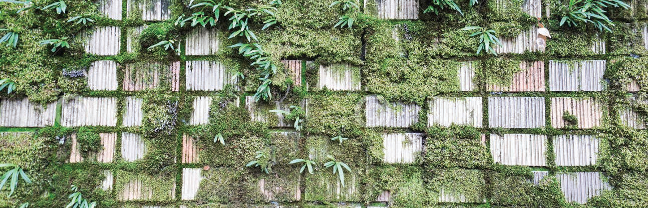 Jason Xavier Lane texture 1crop - Arts District Liberty Station